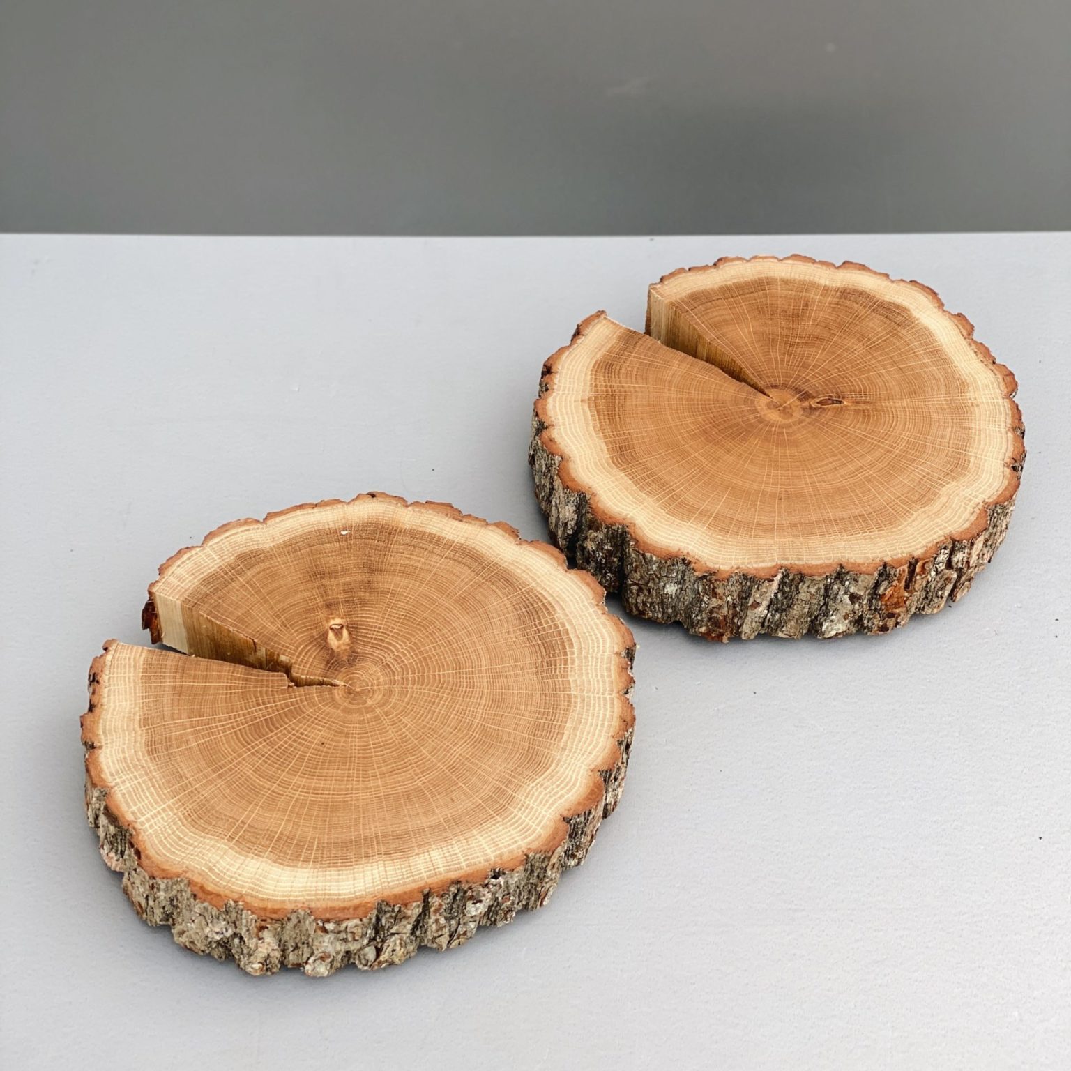 chabbit - chabbit co.,ltd