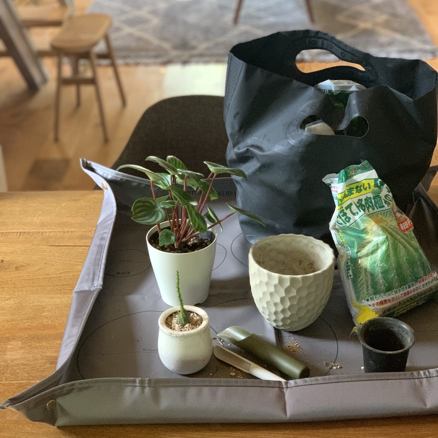 diary - chabbit co.,ltd