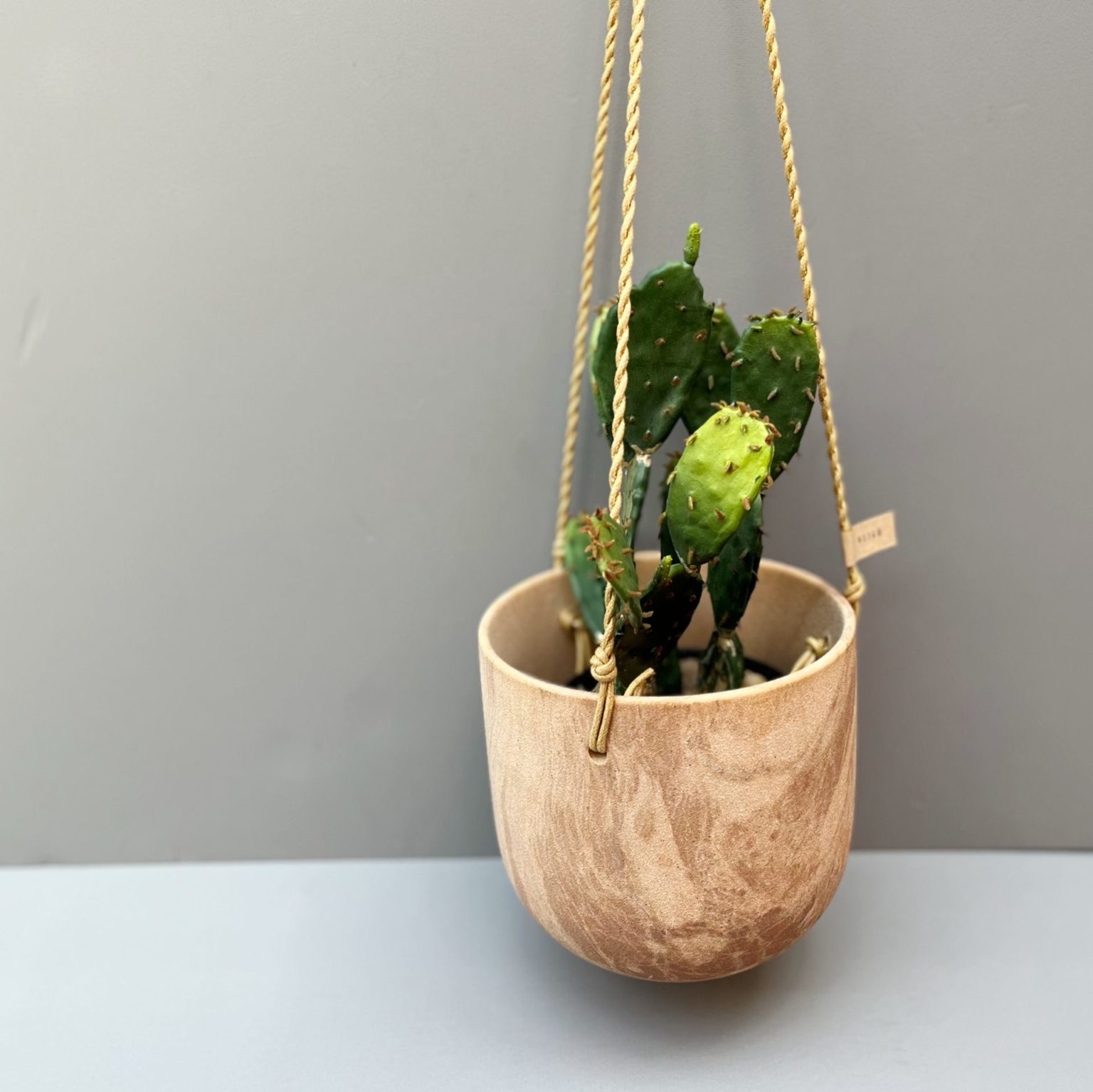 chabbit - chabbit co.,ltd