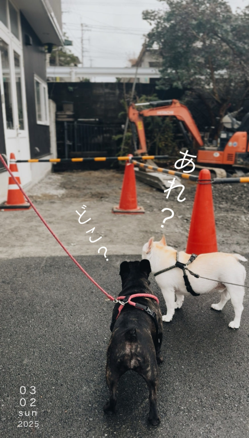 diary - chabbit co.,ltd